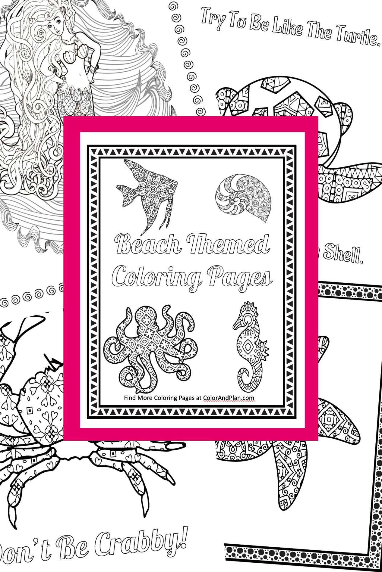 coloring pages shells printable